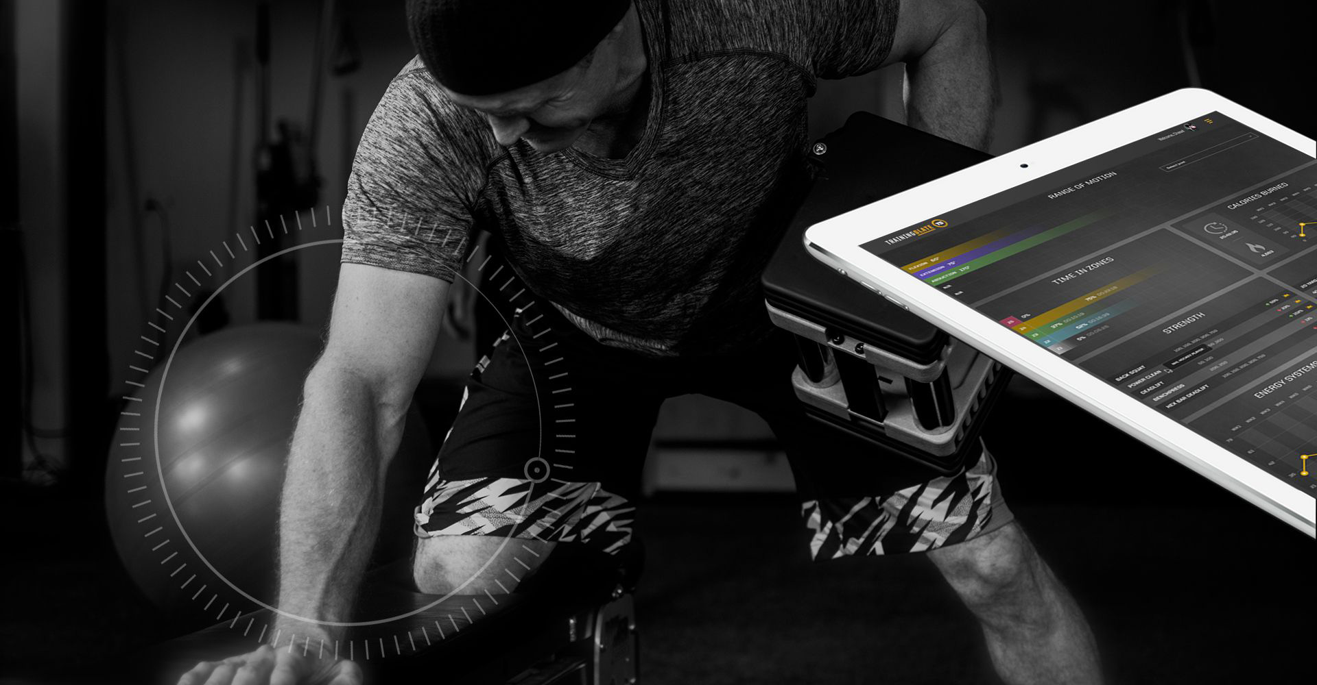 Accelerate Sports Performance - Elite-Level Care System